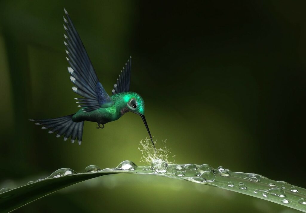 Io faccio la mia parte: la lezione del colibrì - Earth Day